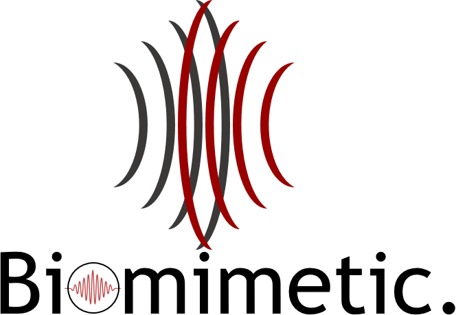 About Biomimetic – Biomimetic